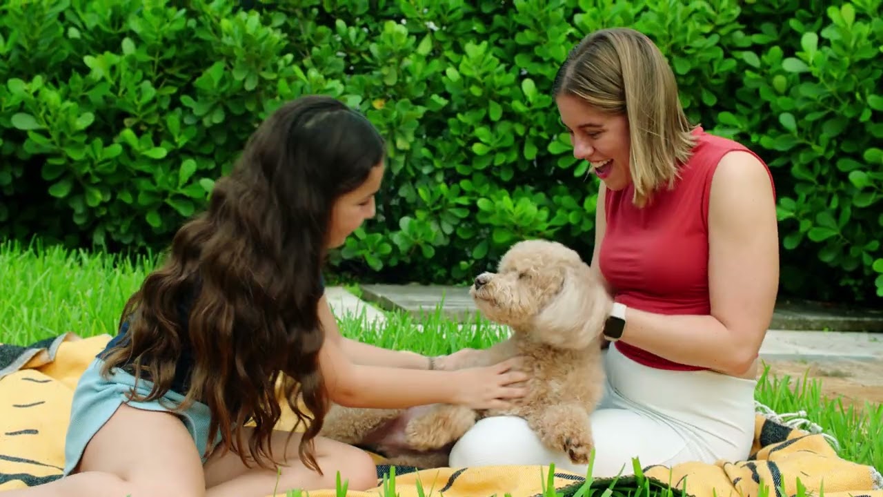 The Diamond Plug-in Diffuser | Customer Testimonial | Peace of Mind