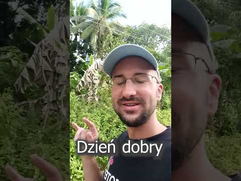 How to say in Polish good morning?  [#polish shorts 5]