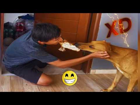 YOU WON'T STOP LAUGHING GOD LEVEL 😆⚡️ [99.99 IMPOSSIBLE NOT TO LAUGH] 😂 Funny Prank Videos 2025 C4