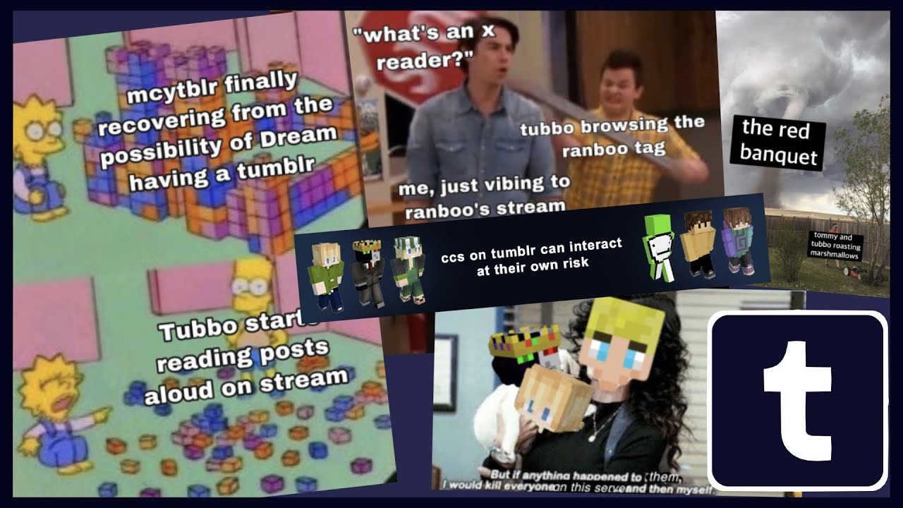 Ranboo and Tubbo Look at Memes on TUMBLR!