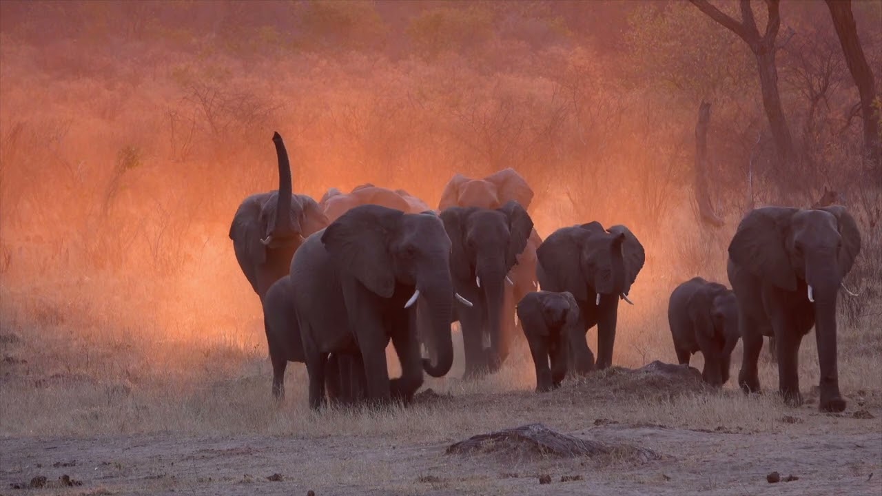 Buy Udu By Dark Intervals 5 Back