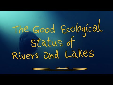 What is good ecological status and why does it matter? | The Freshwater ...
