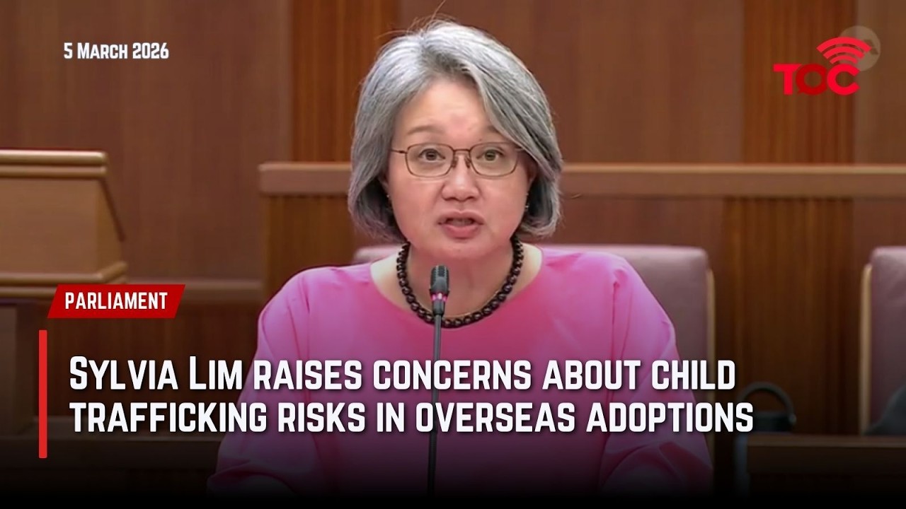Sylvia Lim raises concerns about child trafficking risks in overseas adoptions
