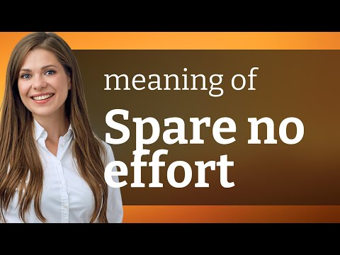 Exploring the Phrase "Spare No Effort": An English Learning Guide