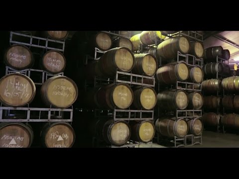 The Importance of Wine Vintage - New World