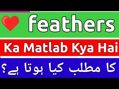 Feathers Meaning In Urdu | Feathers Meaning | Feathers Ka Matlab Kya Hota Hai | Feathers Ka Matlab