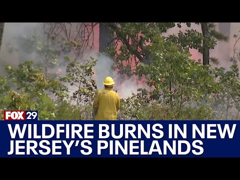 Firefighters make progress containing New Jersey forest fire