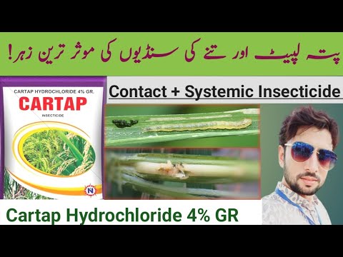 Cartap Hydrochloride at Best Price in India