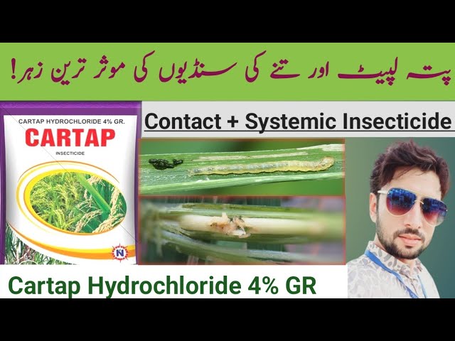 Cartap Hydrochloride - Celdan 4G Cartap Hydrochloride 4% GR Insecticide ...