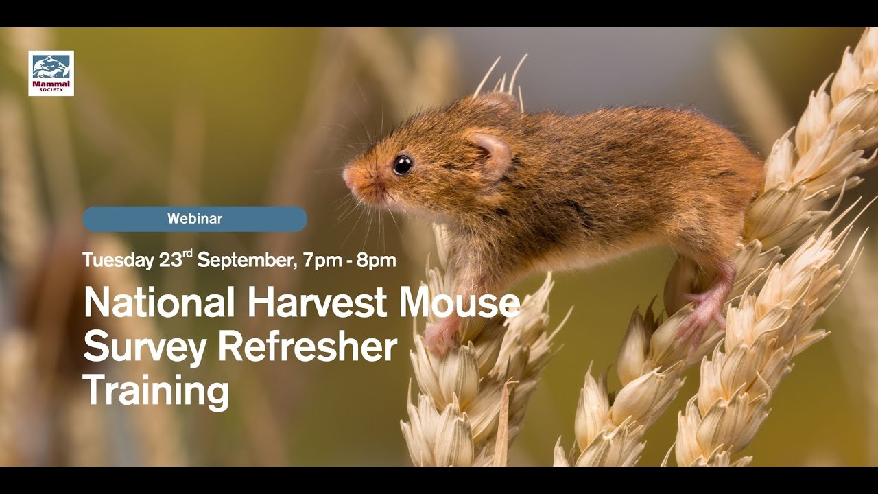 National Harvest Mouse Survey Refresher Training