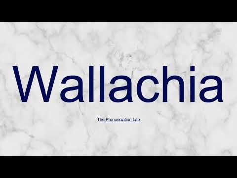 Wallachia Pronunciation: How to Pronounce Wallachia | How to Say Wallachia | #englishspeaking