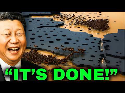 They Released A Herd Of Extinct Horses Into China's Desert... What Happened Next Shocked Biologists
