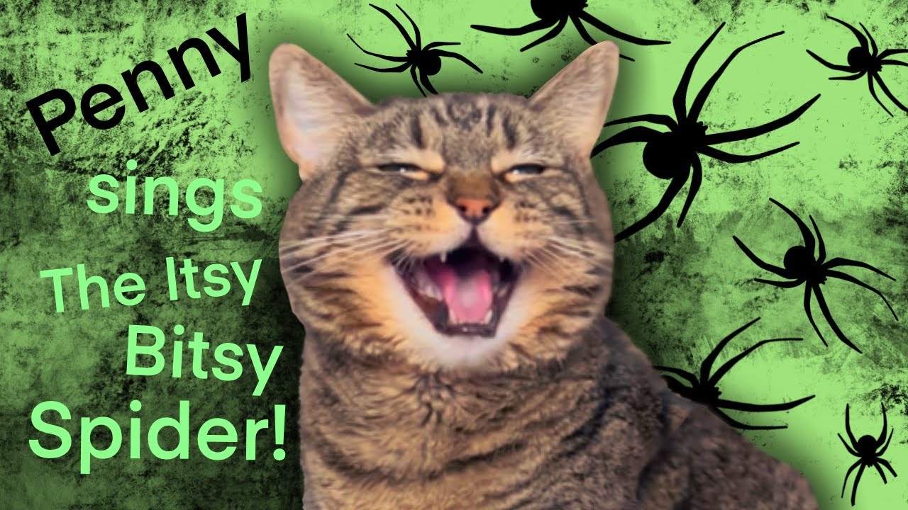 Penny sings a very unique version of The Itsy Bitsy Spider!