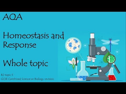 The whole of AQA HOMEOSTASIS and RESPONSE. 9-1 GCSE biology or combined science revision for paper 2