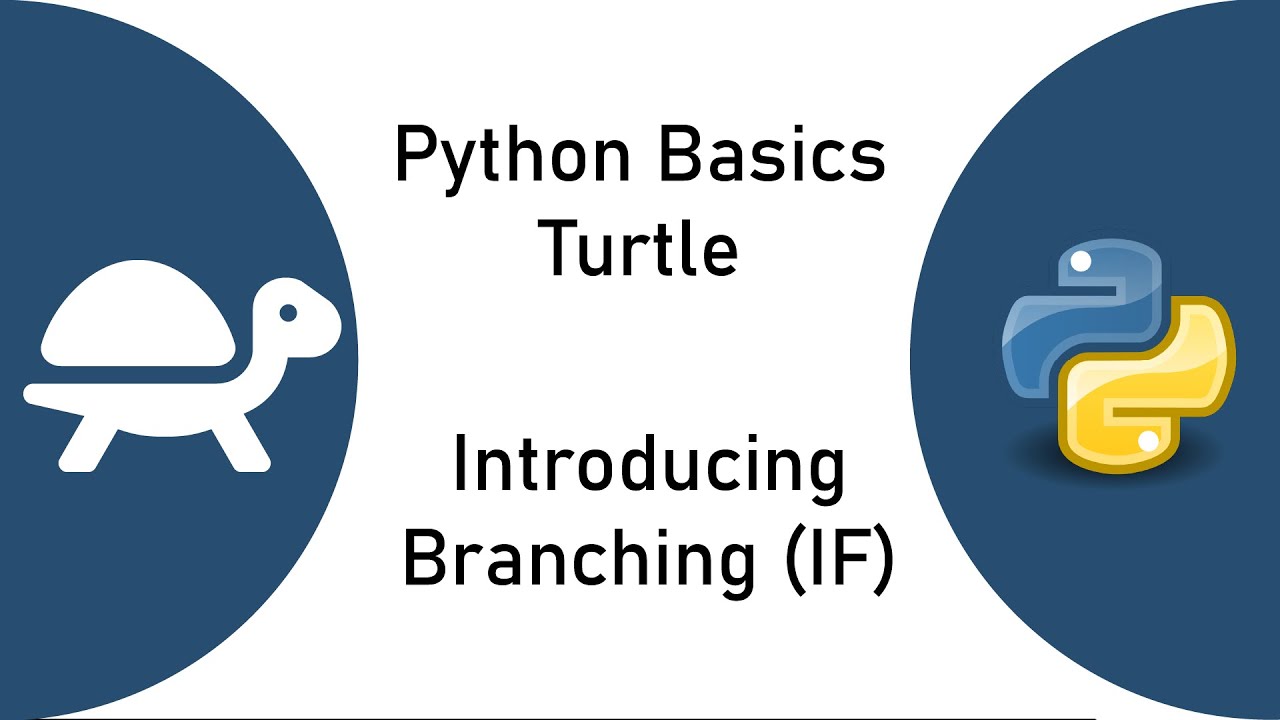 Python Turtle Basics - Introduction to Branching (IF Statements)