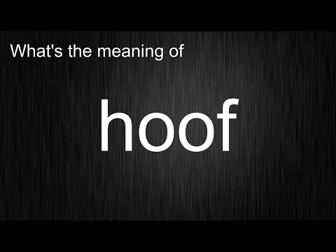 What Does "hoof" Mean and How Do You Pronounce It?