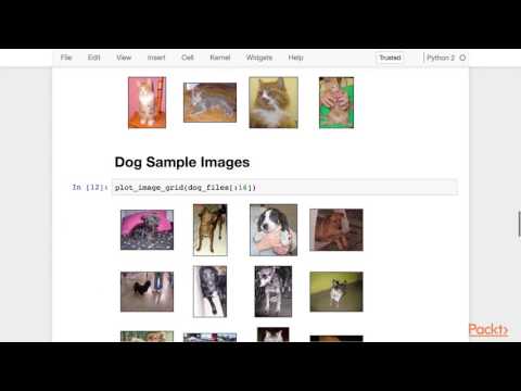 Learn Learning Computer Vision with TensorFlow Cat and Dog Dataset | packtpub com - Mind Luster