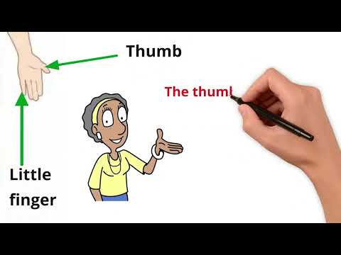 Introduction to anatomy and physiology 3: Directional terms in anatomy