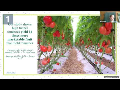 Managing High Tunnel Tomato Nutrition | Research Nugget