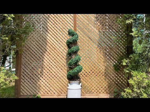 DIY Pool Noodle Topiary