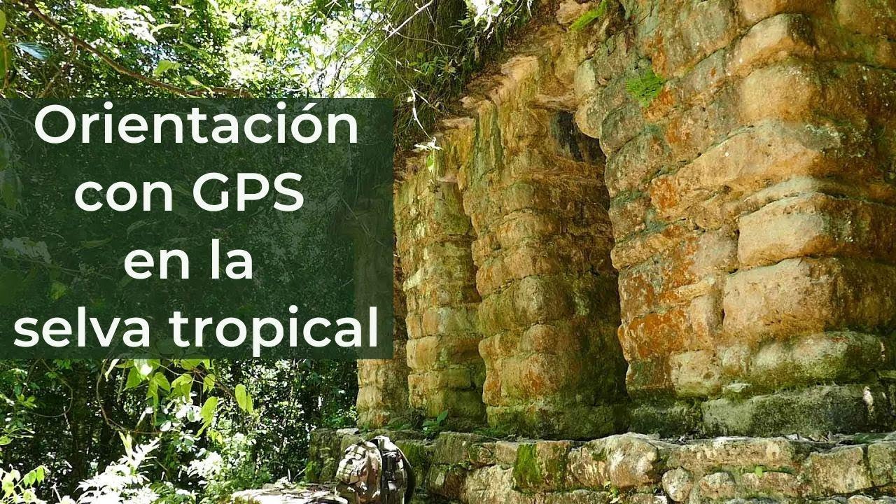 En busca de una ciudad maya perdida en medio de la selva