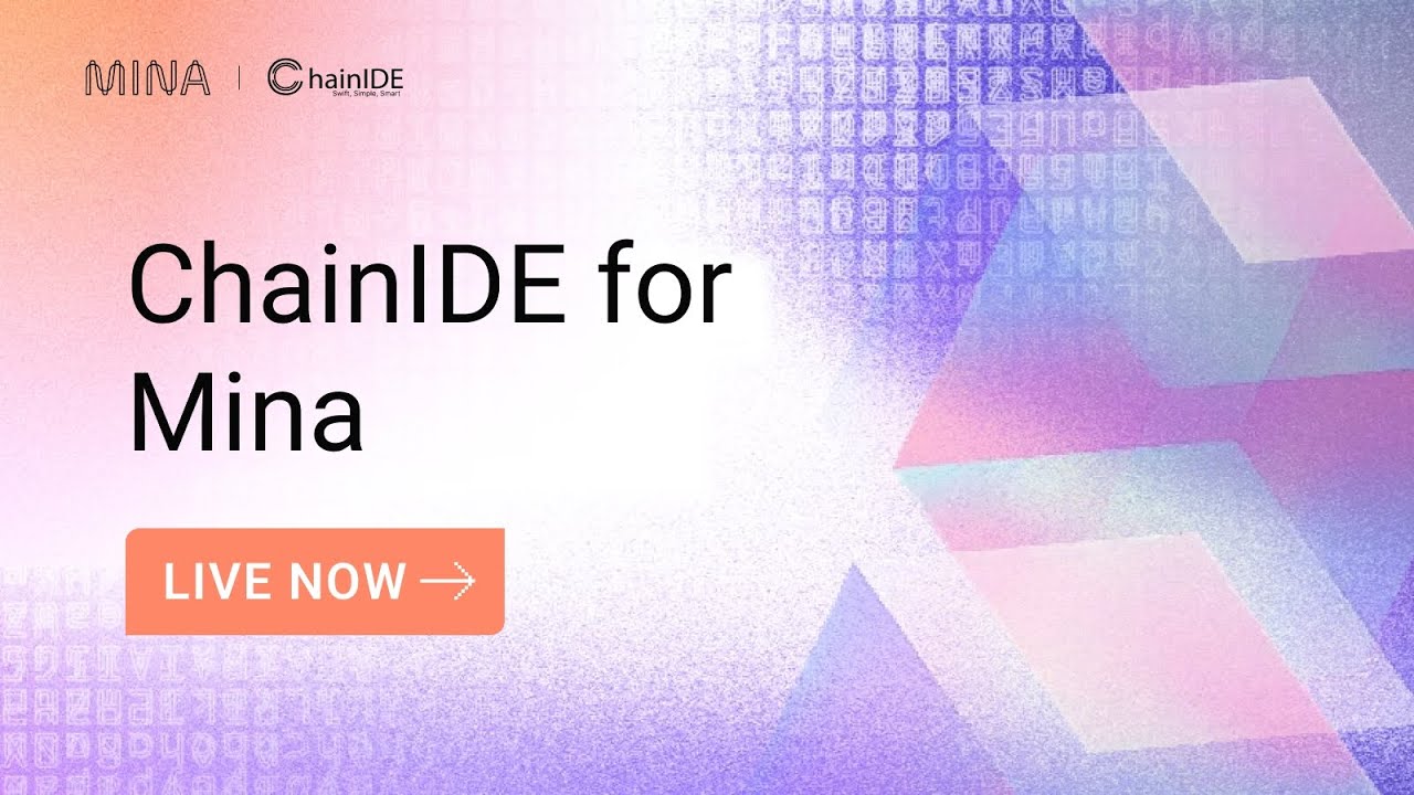 How to Use Mina IDE