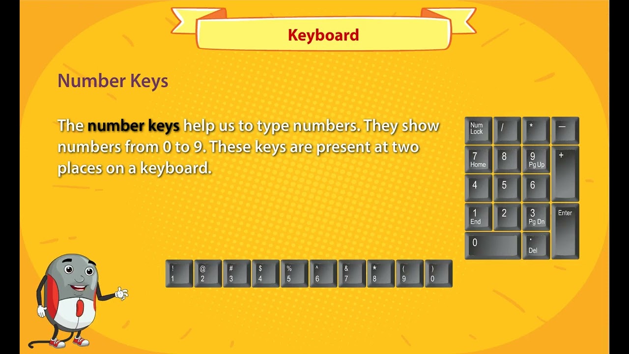 computer Class 1 Chapter 6 | Computer Keyboard | kids beauty Educational Videos