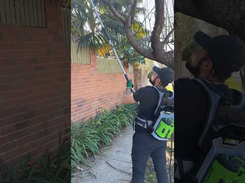@Egopowerplus Backpack Link powering the Multi-Tool with Pole Saw attachment 👌🏻 #treetrimming