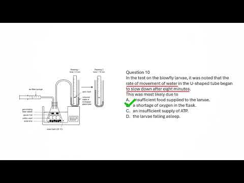2022 NHT Biology Photosynthesis cellular respiration and biotechnological applications