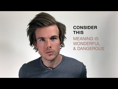 Meaning is Wonderful and Dangerous