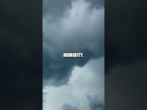 The Paradox of the Cloud Enigma