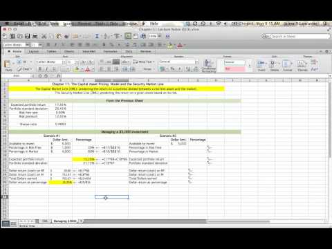 Chapter 11 - Capital Market Line