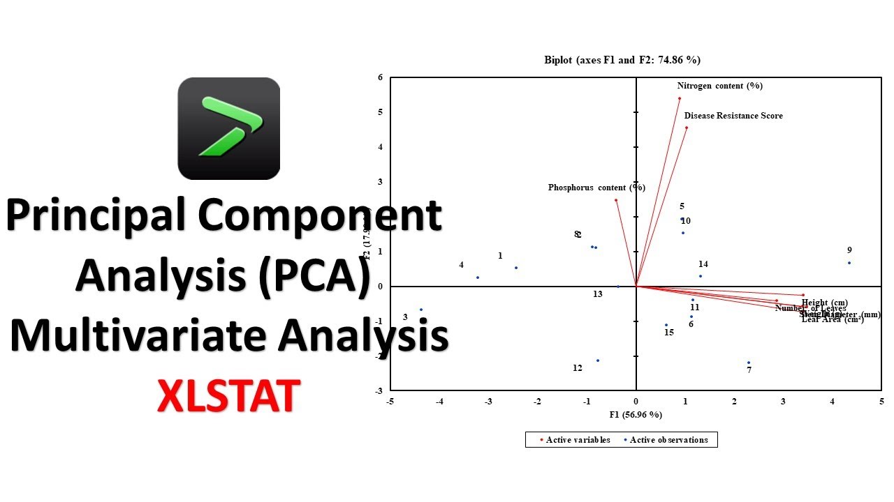 Principal Component Analysis (PCA) | Multivariate Analysis | XLSTAT