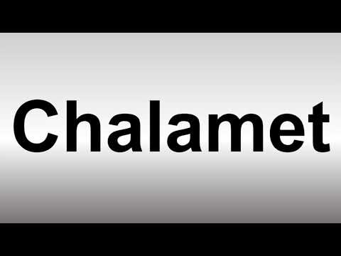 How to Pronounce Chalamet