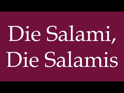 How to Pronounce ''Die Salami, Die Salamis'' (The Salami, The Salamis) Correctly in German