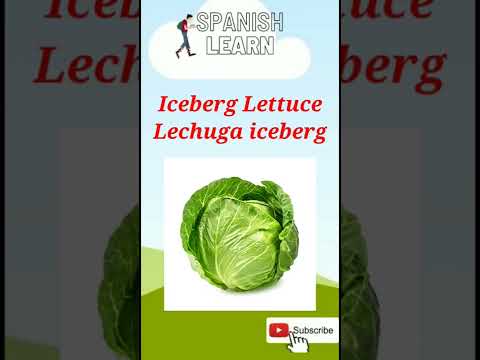 Iceberg lettuce Vegetable Spanish language Vocabulary