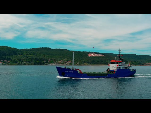 Home - FishFryShipping