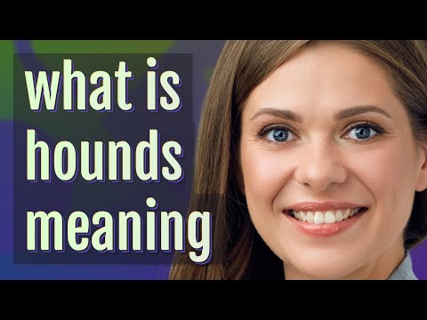 Hounds | meaning of Hounds