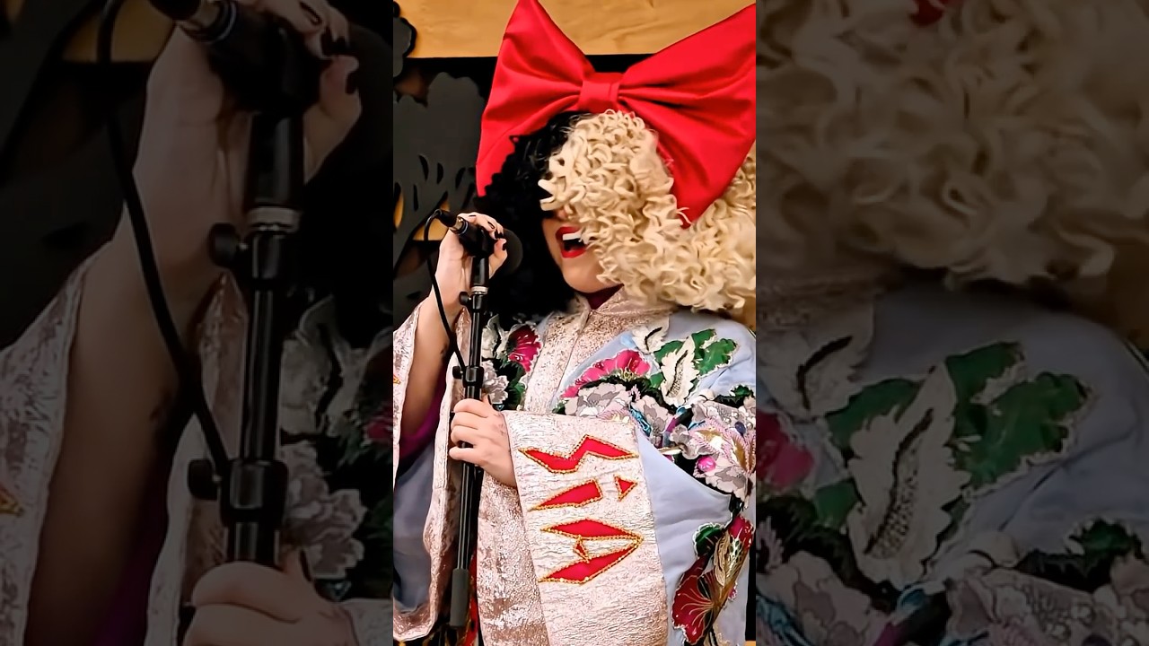 Sia sings 'Cheap Thrills' on Jury Duty