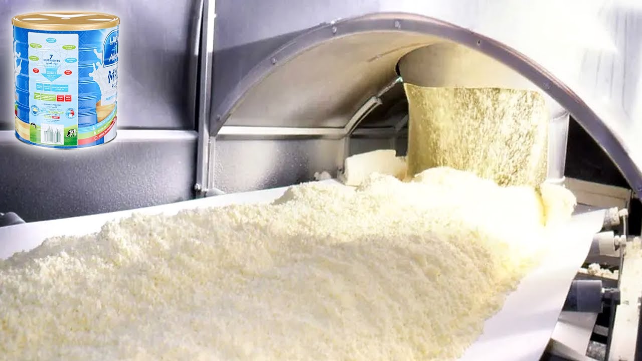 How Milk Powder is Made | Modern Milk Powder Processing Plant - Maestro ...