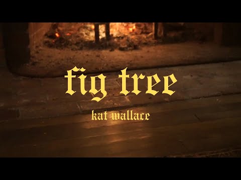 14 albums by New England musicians to listen to this winter | WBUR News