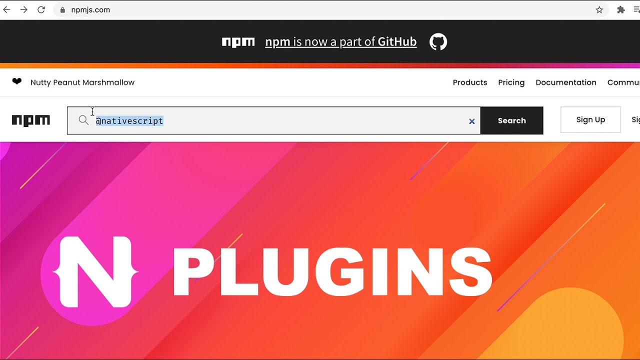 About Official NativeScript Plugins