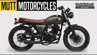 LiveToRide TV | LiveToRide