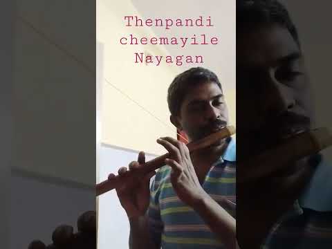thenpandi cheemayile #flute #sad #nayagan #ilayaraja #kamalhaasan