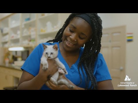 Meet Ranch Animal Hospital & Animal Hospital at Lakewood Ranch
