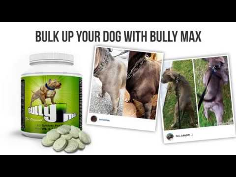 Bully Max Muscle Builder For Dogs (#1-rated brand)