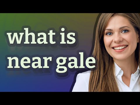 Near gale | meaning of Near gale