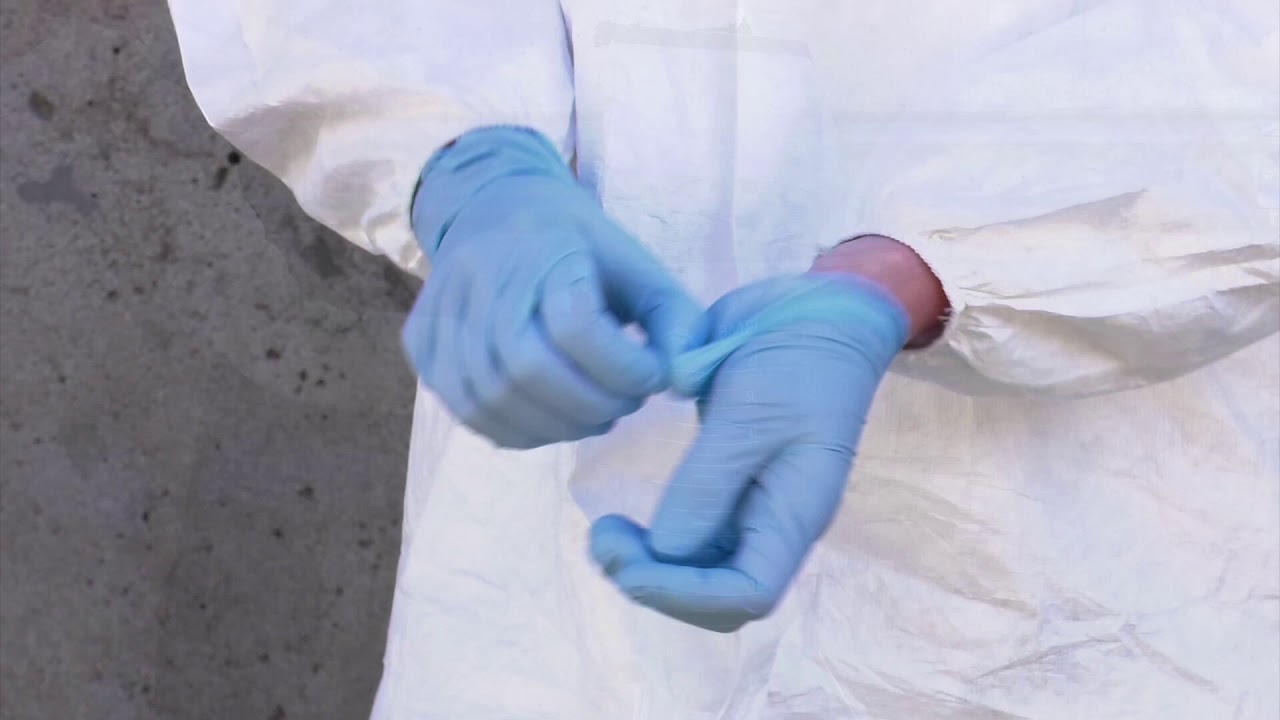 Archive: BMFS field protocol - Sample collection