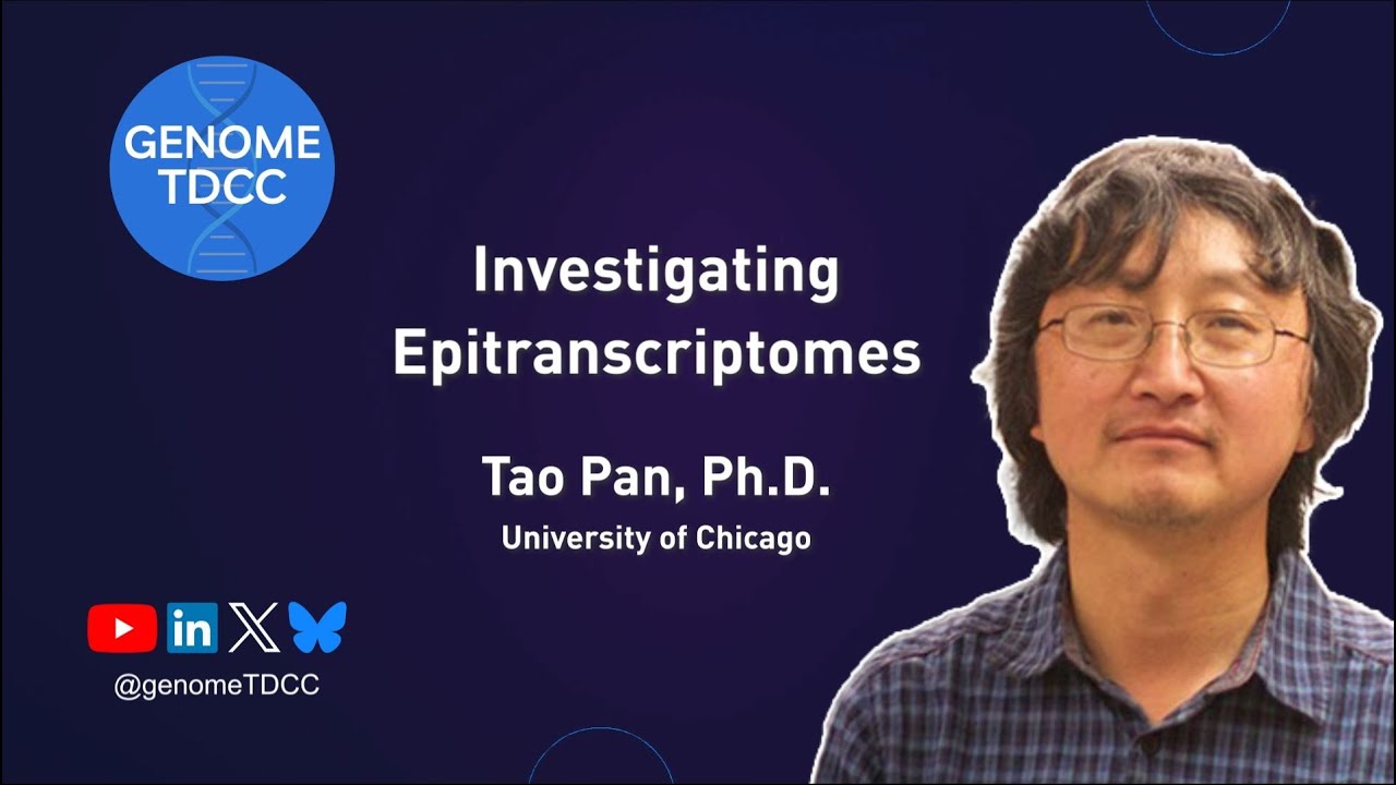Investigating Epitranscriptomes