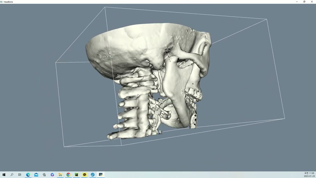 VTK Python Example - HeadBone